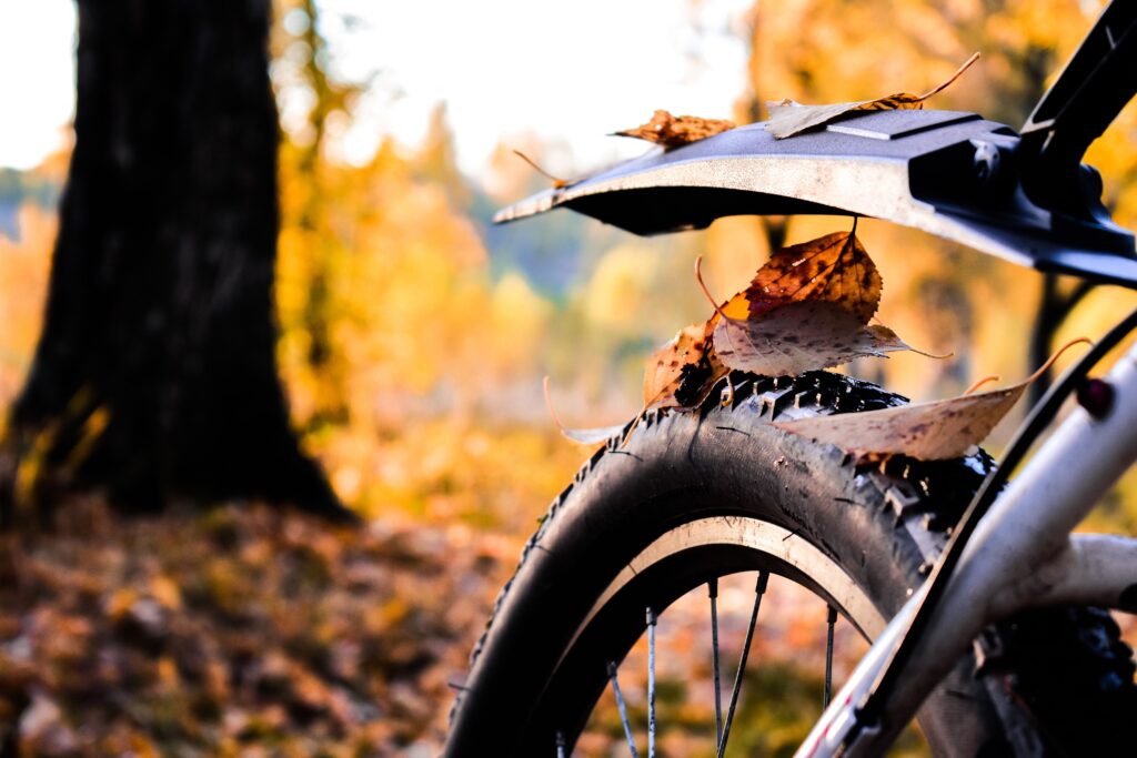 Best Cycle Accessories: 12 Upgrades That Make Every Ride Better - Know ...